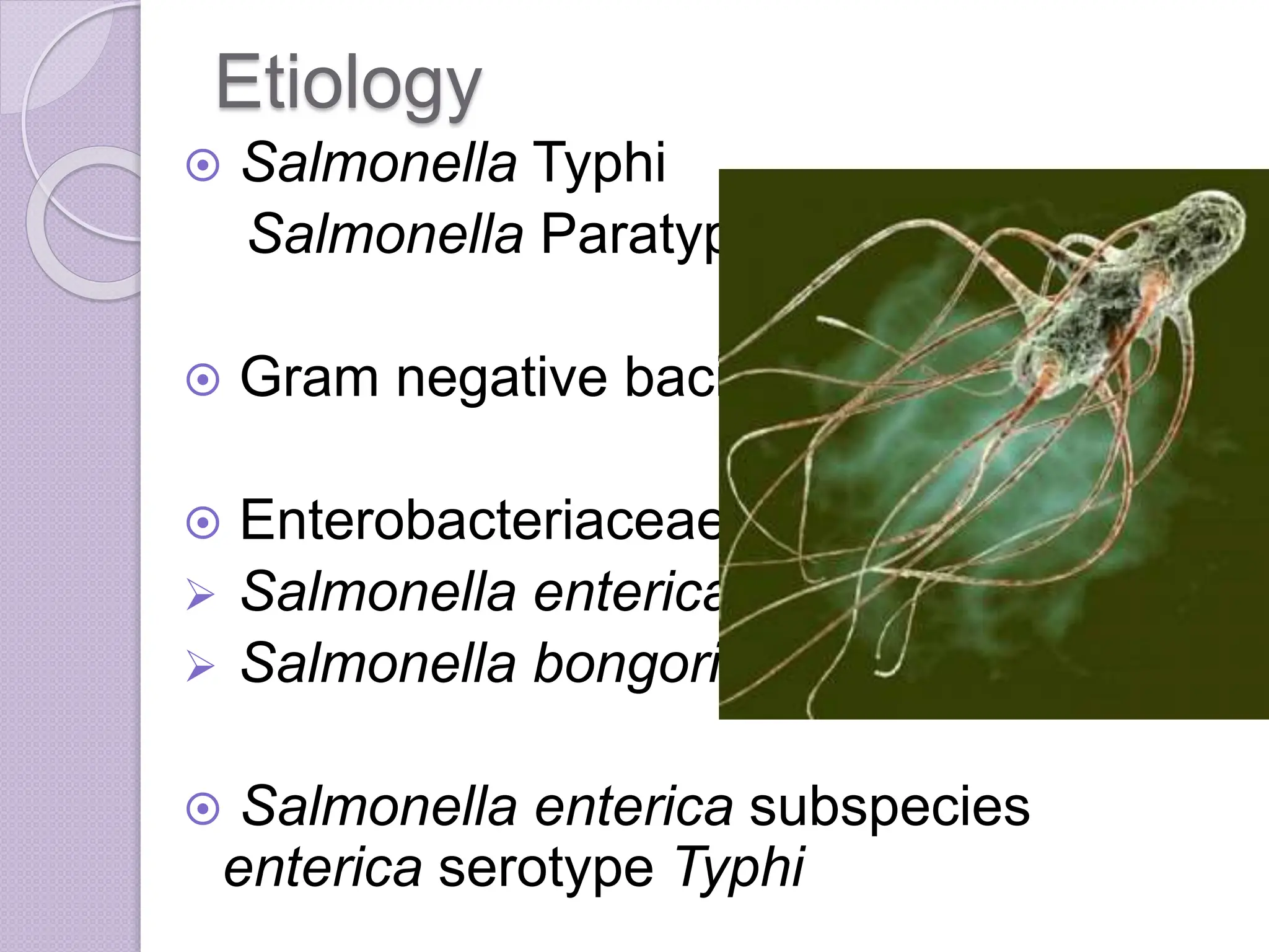 Enteric Fever, Typhoid and Paratyphoid Fever Etiology, Clinical course ...