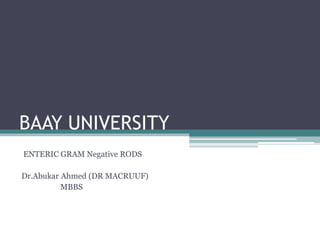 ENTERIC GRAM NEGATIVE RODS Dr Abukar Ahmed Mohamed/ Dr Abukar Macruuf.pptx