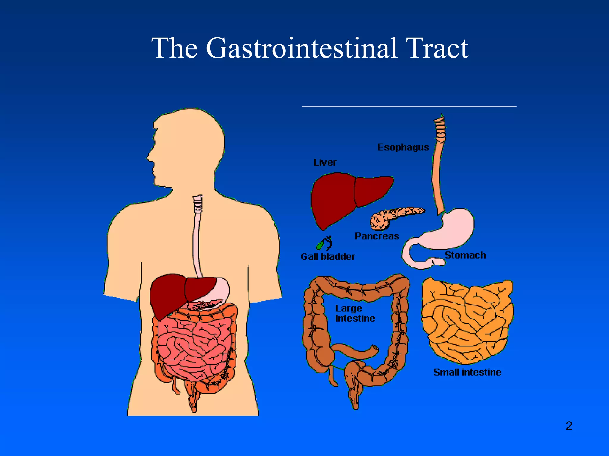 Enteric infection and food poisoning | PPT