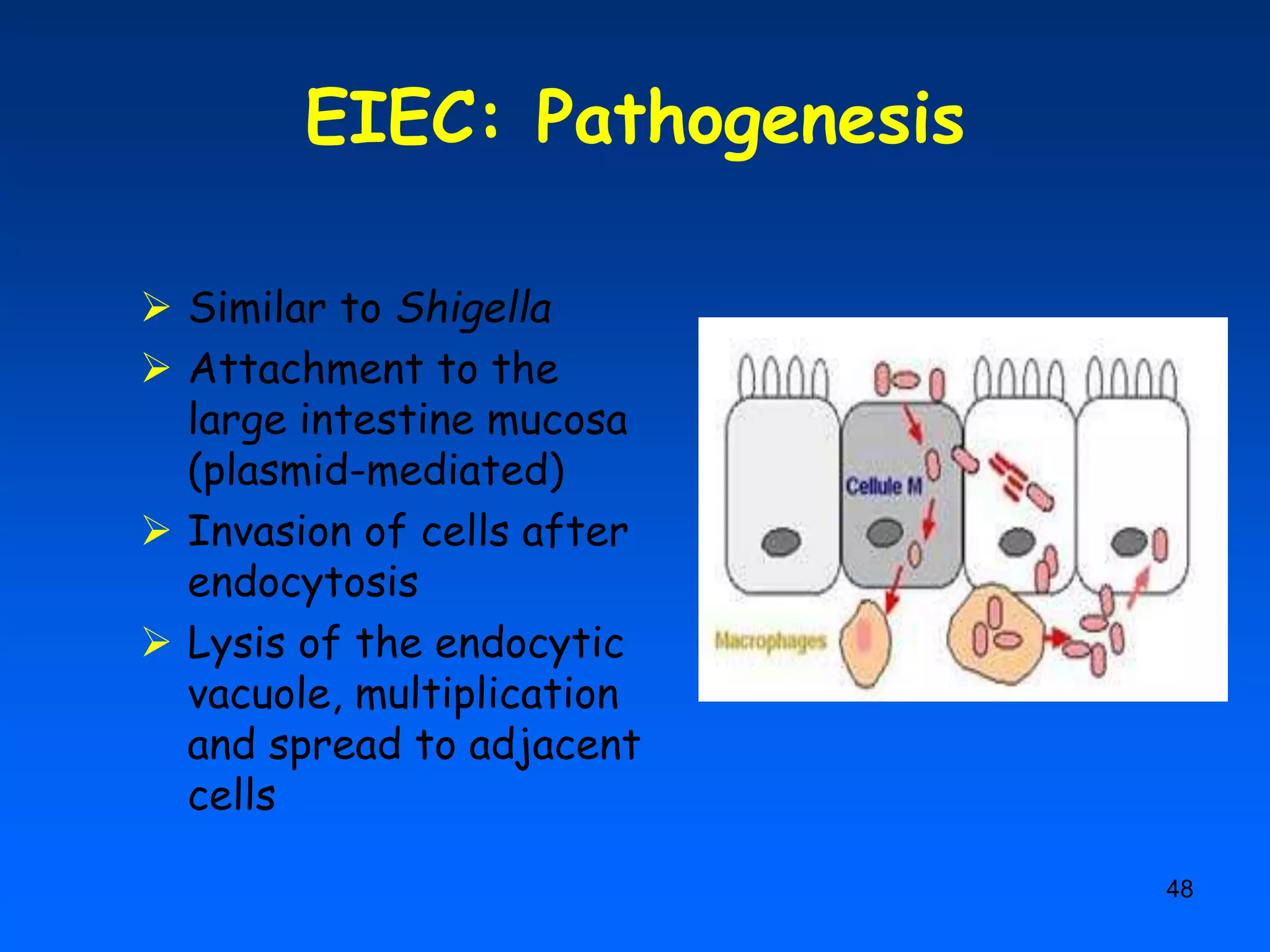 Enteric infection and food poisoning | PPT