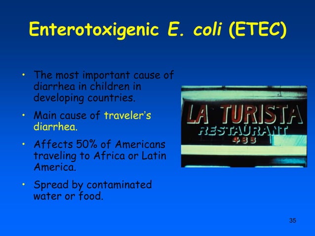 Enteric infection and food poisoning | PPT