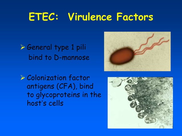 Enteric infection and food poisoning | PPT