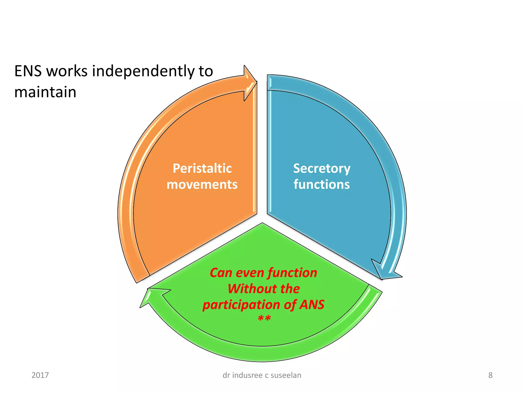Enteric nervous system | PDF