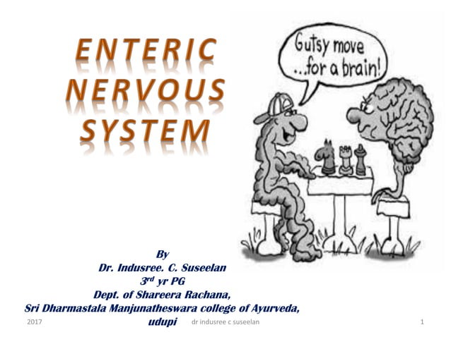 Enteric nervous system | PDF