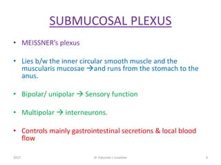 Enteric nervous system | PDF