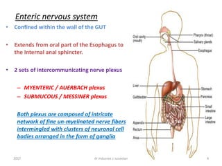 Enteric nervous system | PPT