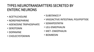 Enteric nervous system | PPTX