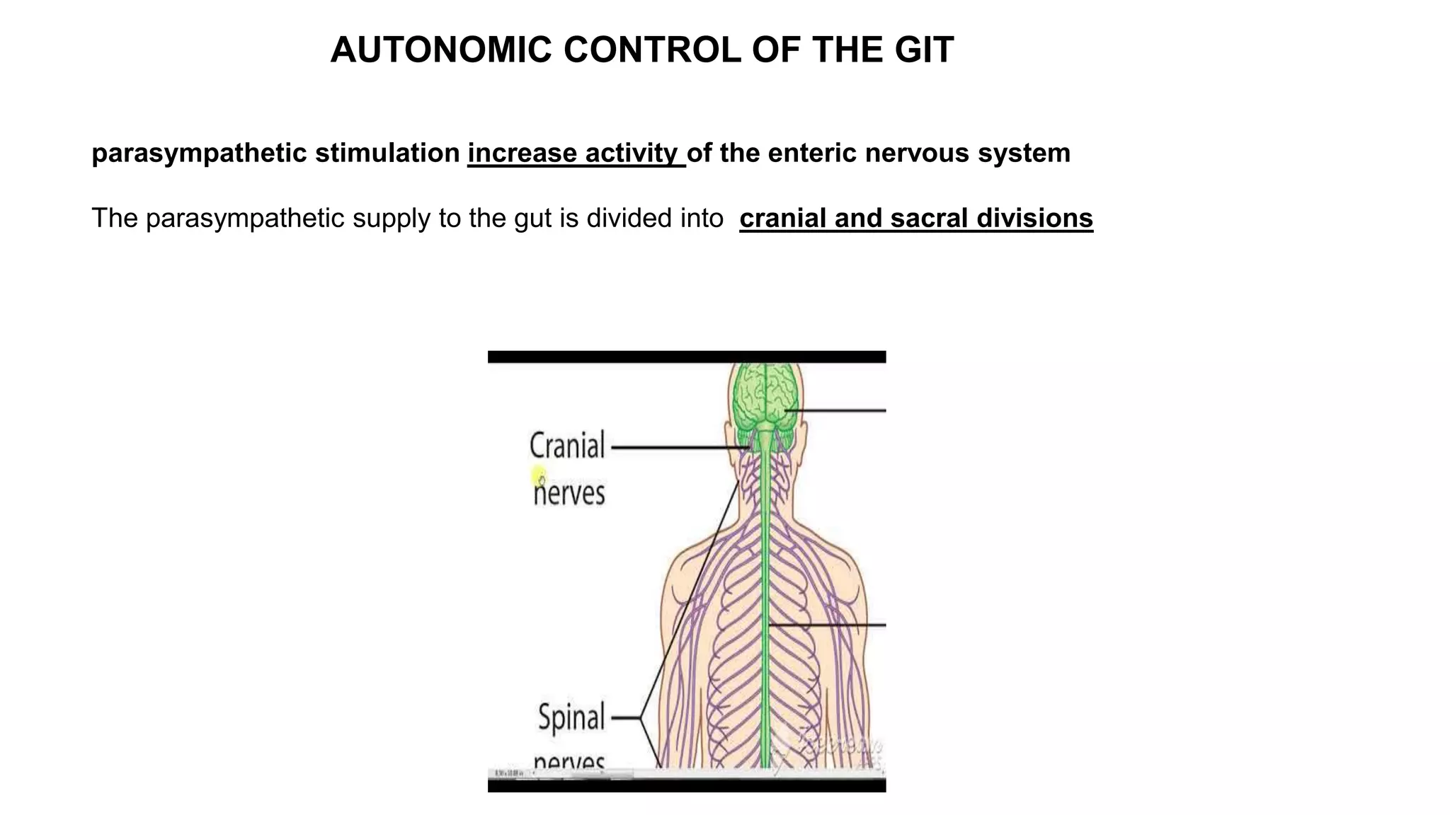 ENTERIC NERVOUS SYSTEM.pptx