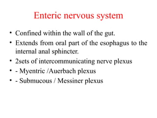 Enteric nervous system in anatomy medical | PPTX