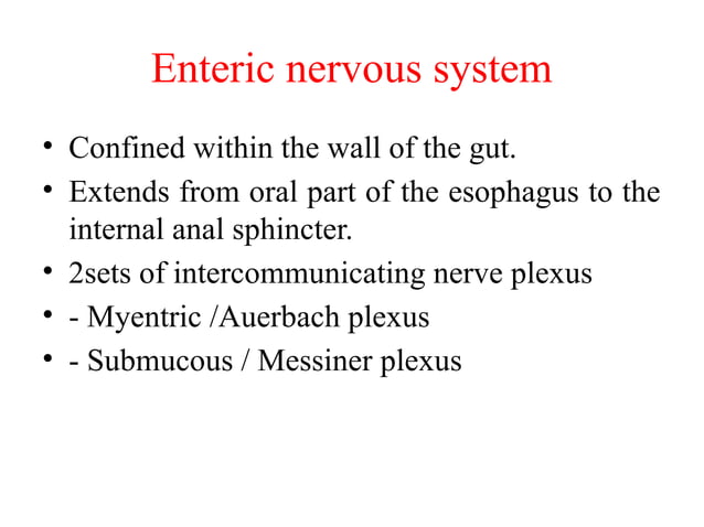 Enteric nervous system in anatomy medical | PPT