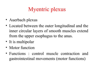 Enteric nervous system in anatomy medical | PPTX