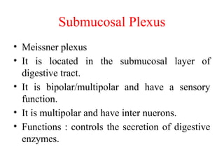 Enteric nervous system in anatomy medical | PPTX