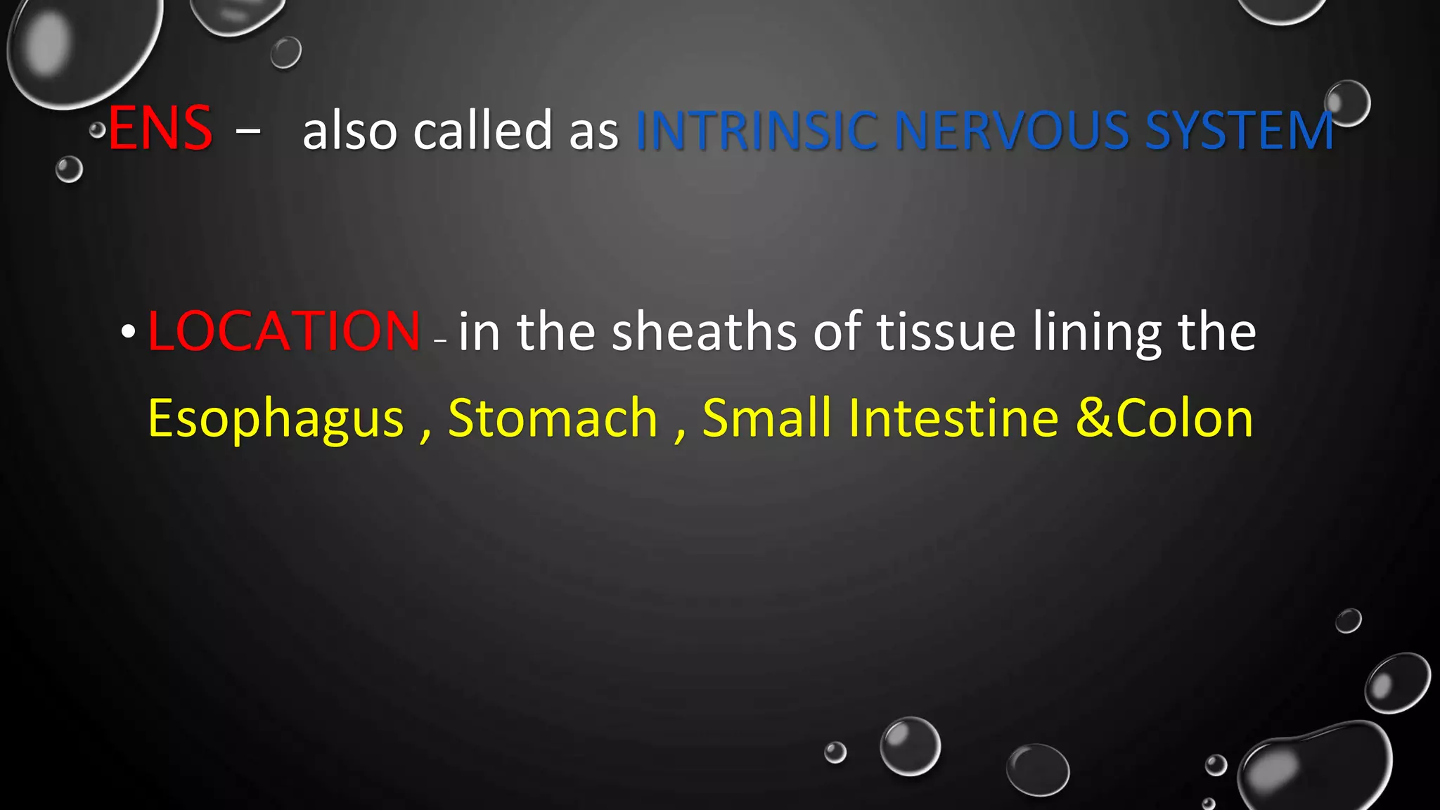 Enteric nervous system powerpoint | PPTX