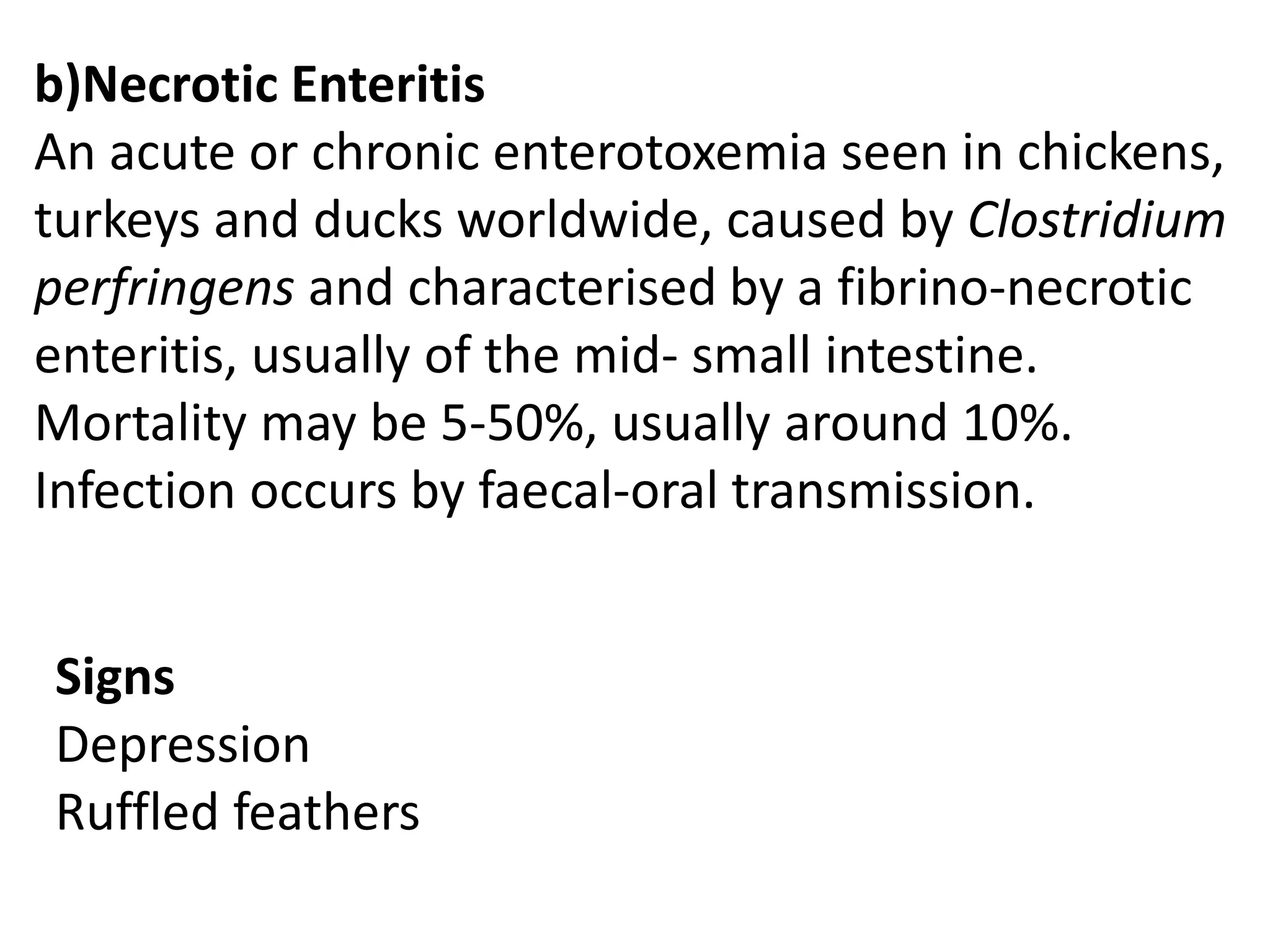 Enteritis | PPTX