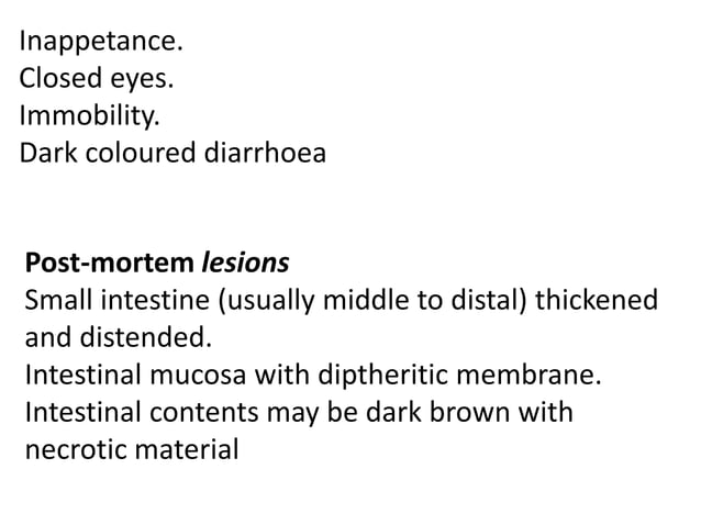 Enteritis | PPTX | Digestive Disorders | Diseases and Conditions