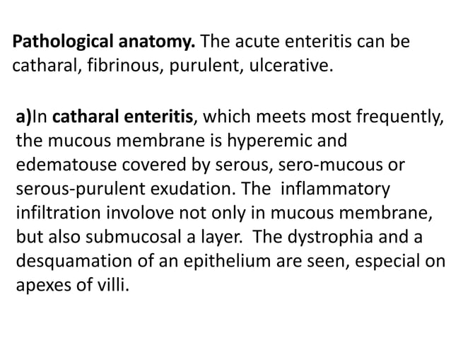 Enteritis | PPTX | Digestive Disorders | Diseases and Conditions