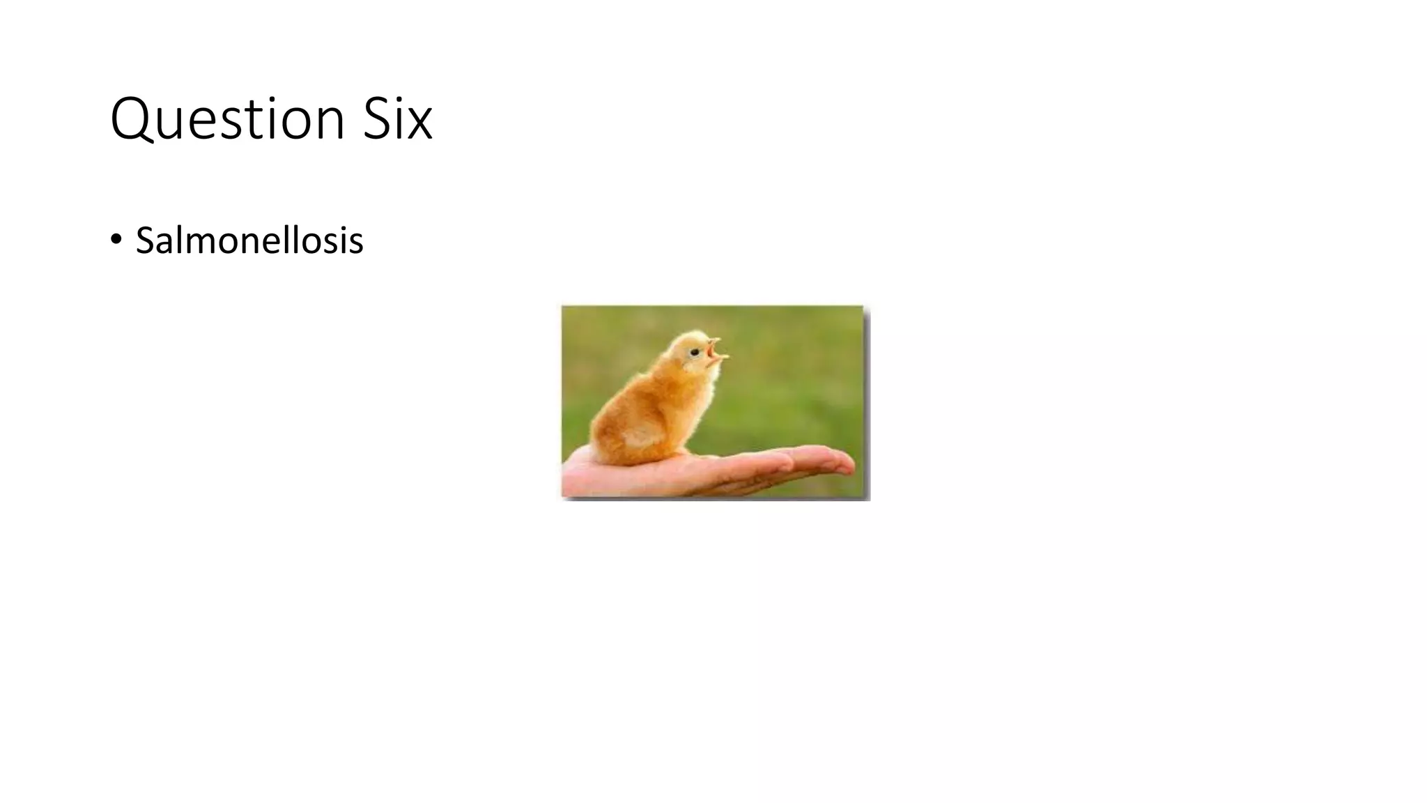 Noon conference | PPTX