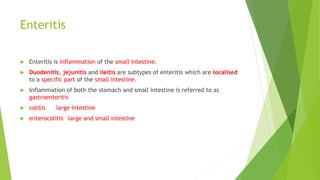 Enteritis | PPT