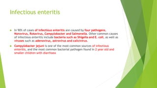 Enteritis | PPT