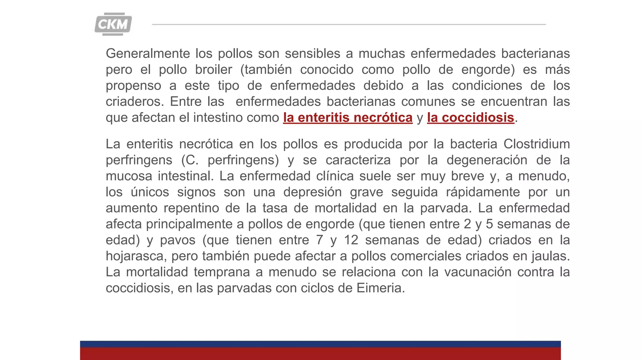 Enteritis necrótica en pollos broiler | PPT