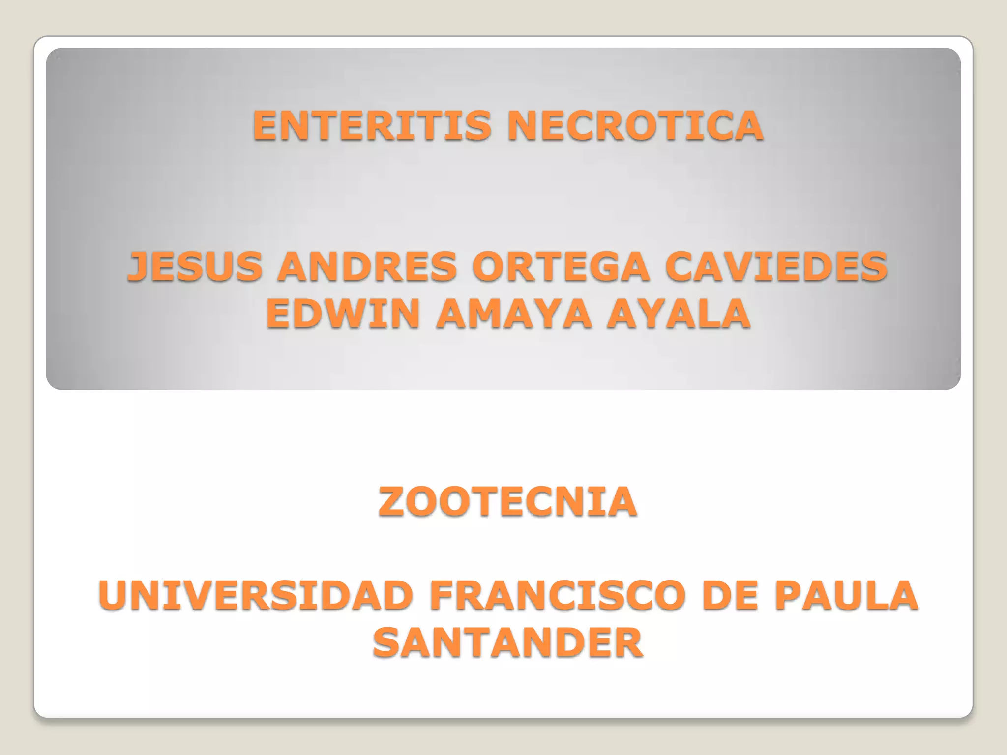 Enteritis necrotica | PPT