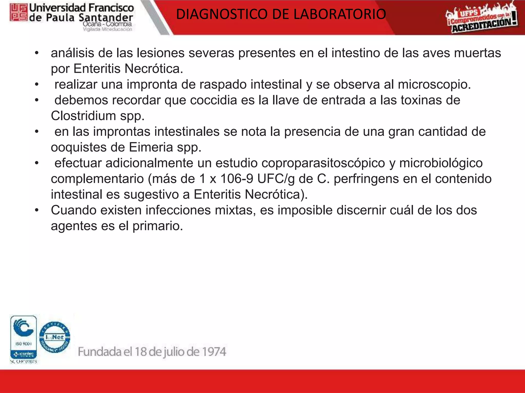 ENTERITIS NECROTICA | PPT
