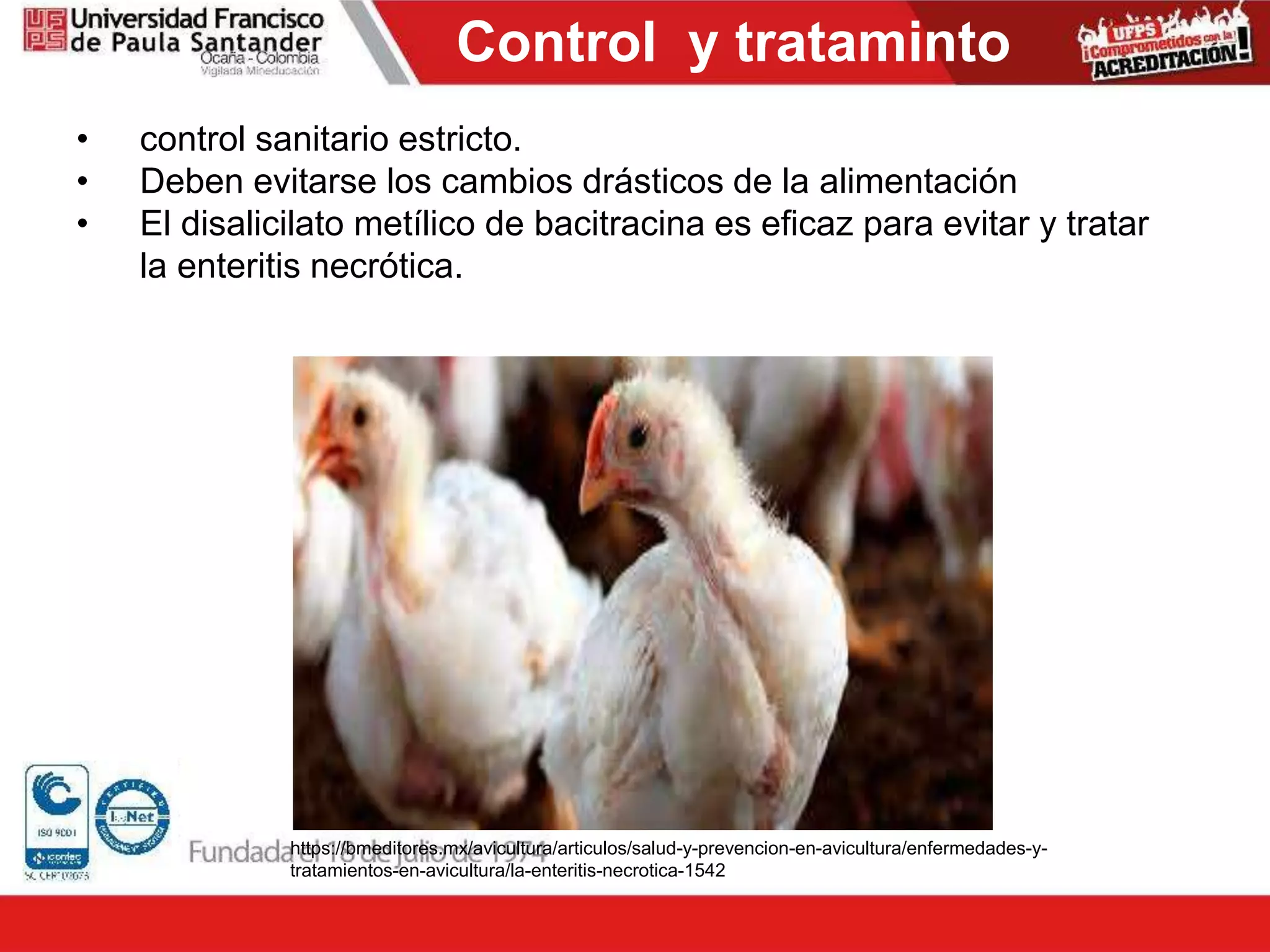 ENTERITIS NECROTICA | PPT