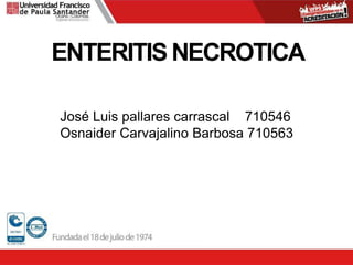 ENTERITIS NECROTICA | PPTX