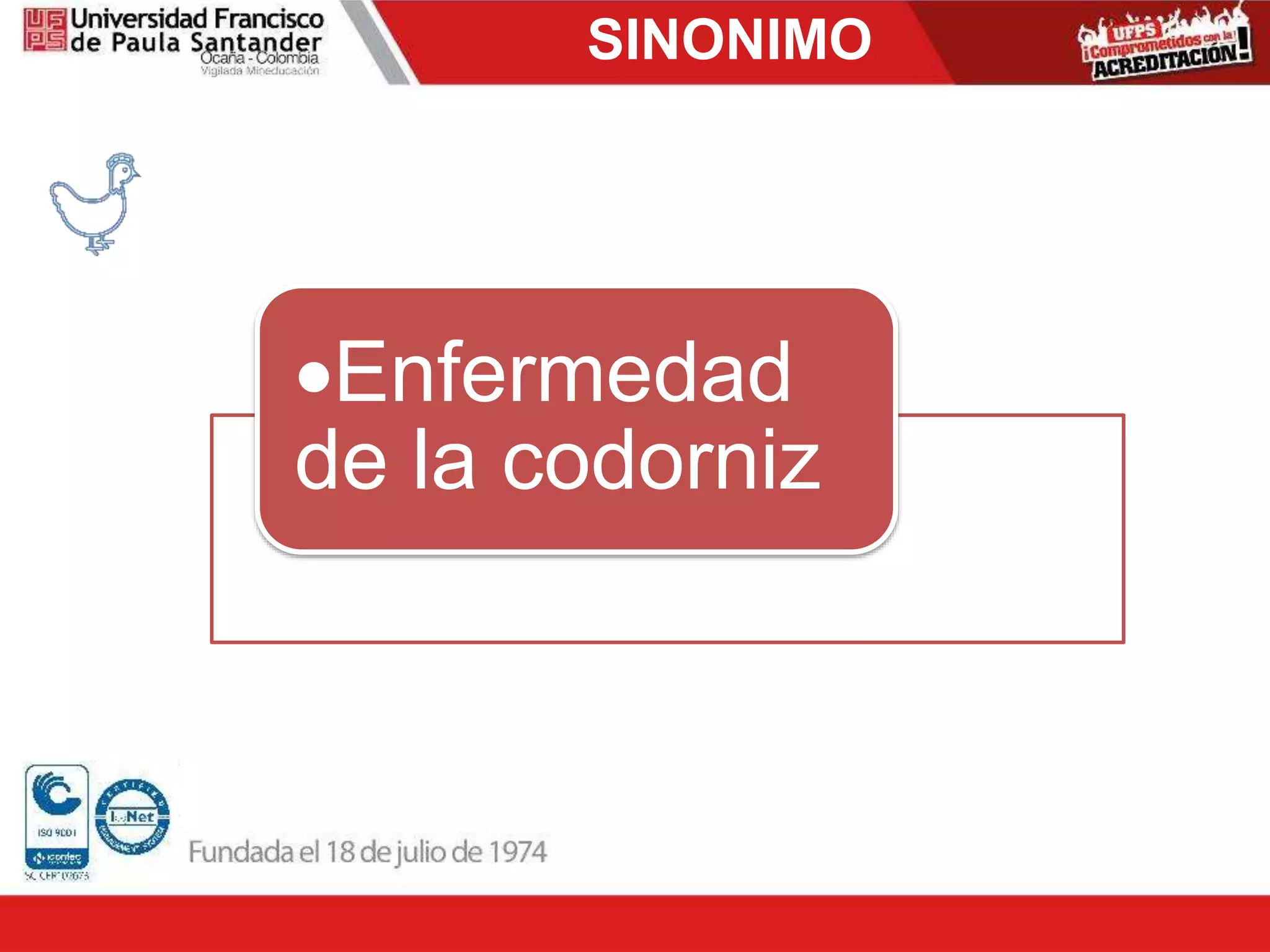 Enteritis ulcerativa | PPT