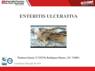 Enteritis ulcerativa | PPTX