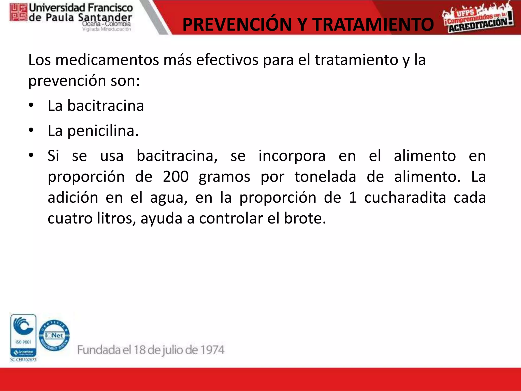 Enteritis ulcerativaa (1) | PPTX