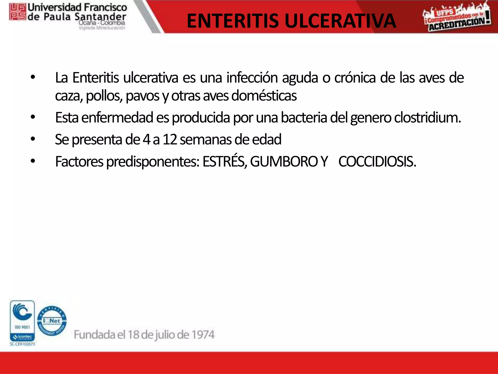 Enteritis ulcerativaa (1) | PPTX