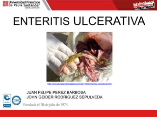 Enteritis ulcerativaa (1) | PPTX