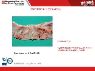Enteritis ulcerativa en aves | PPTX