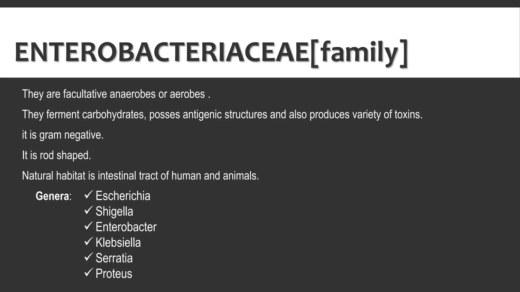 Entero bacteriaceae | PPTX