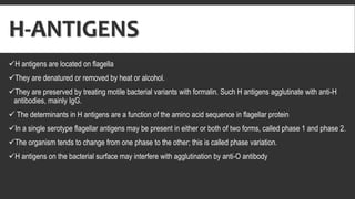 Entero bacteriaceae | PPTX