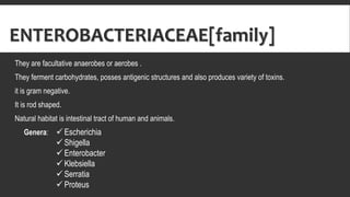 Entero bacteriaceae | PPTX