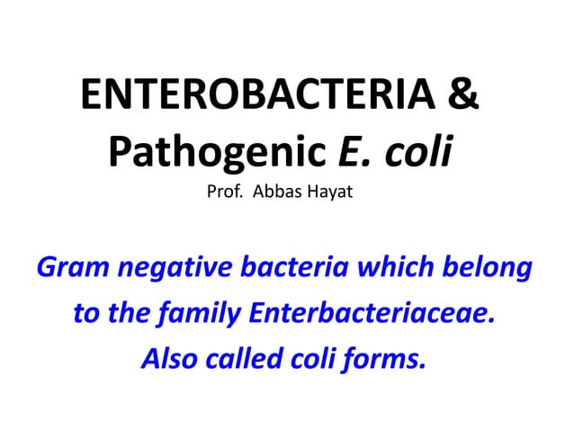 Enterobacteriaceae | PPT