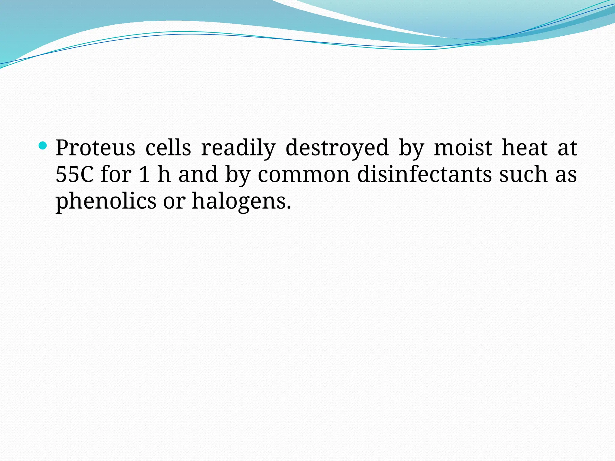 ENTEROBACTER AND PROTEOUS bacterial.pptx