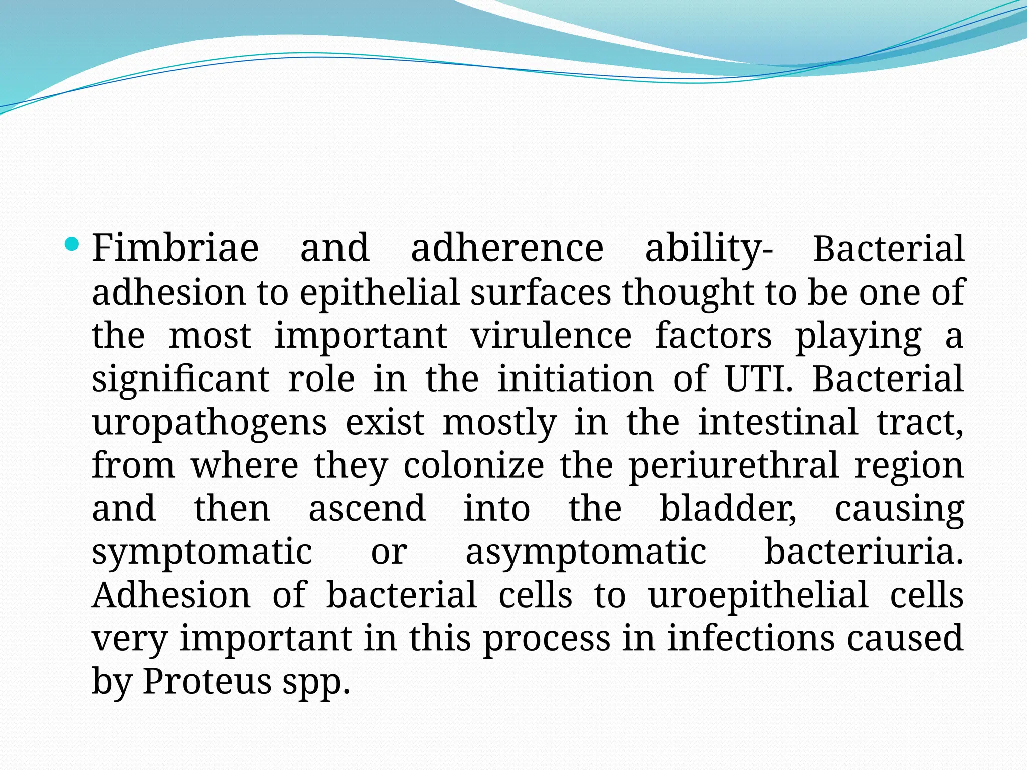 ENTEROBACTER AND PROTEOUS bacterial.pptx