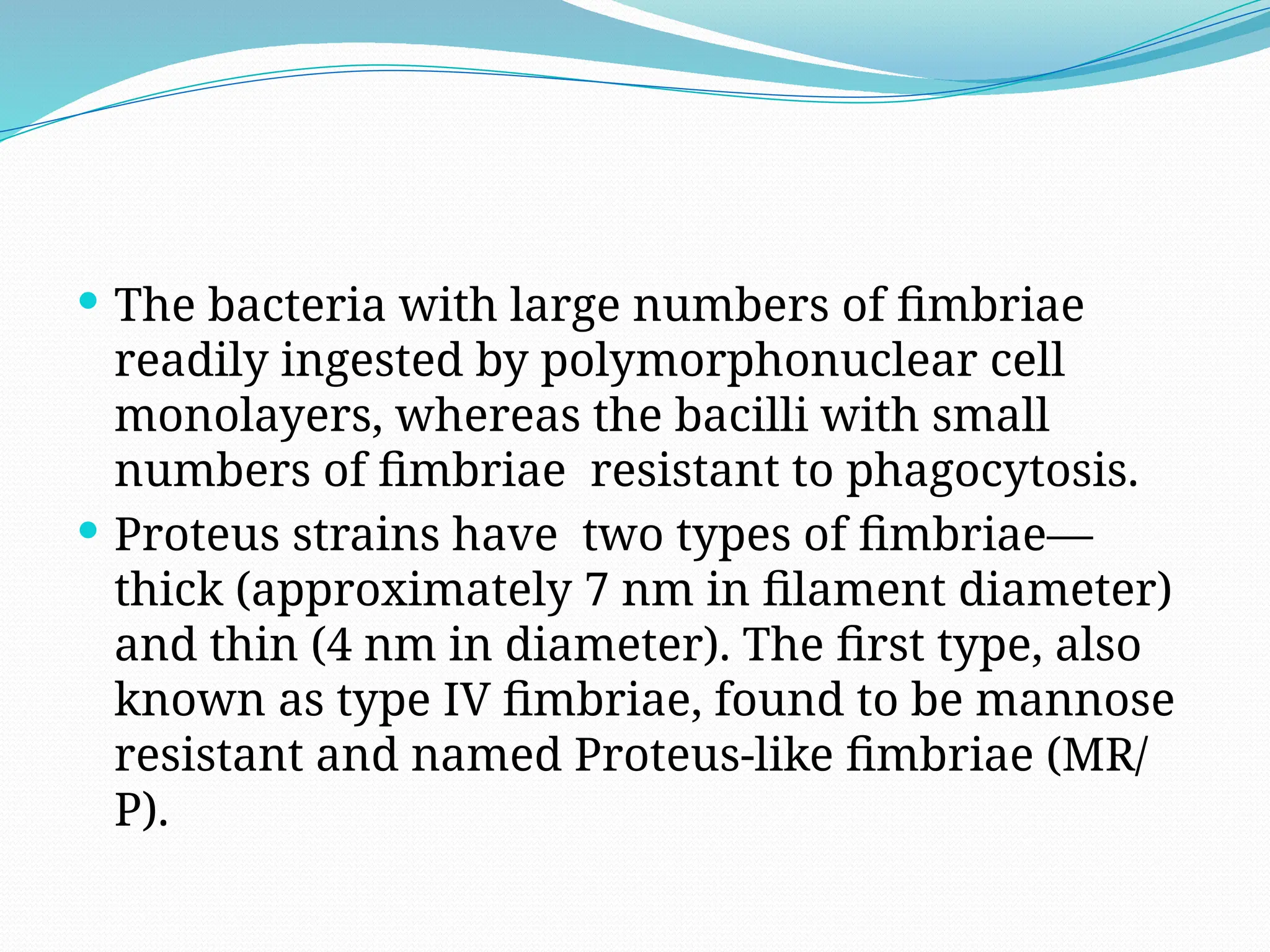 ENTEROBACTER AND PROTEOUS bacterial.pptx