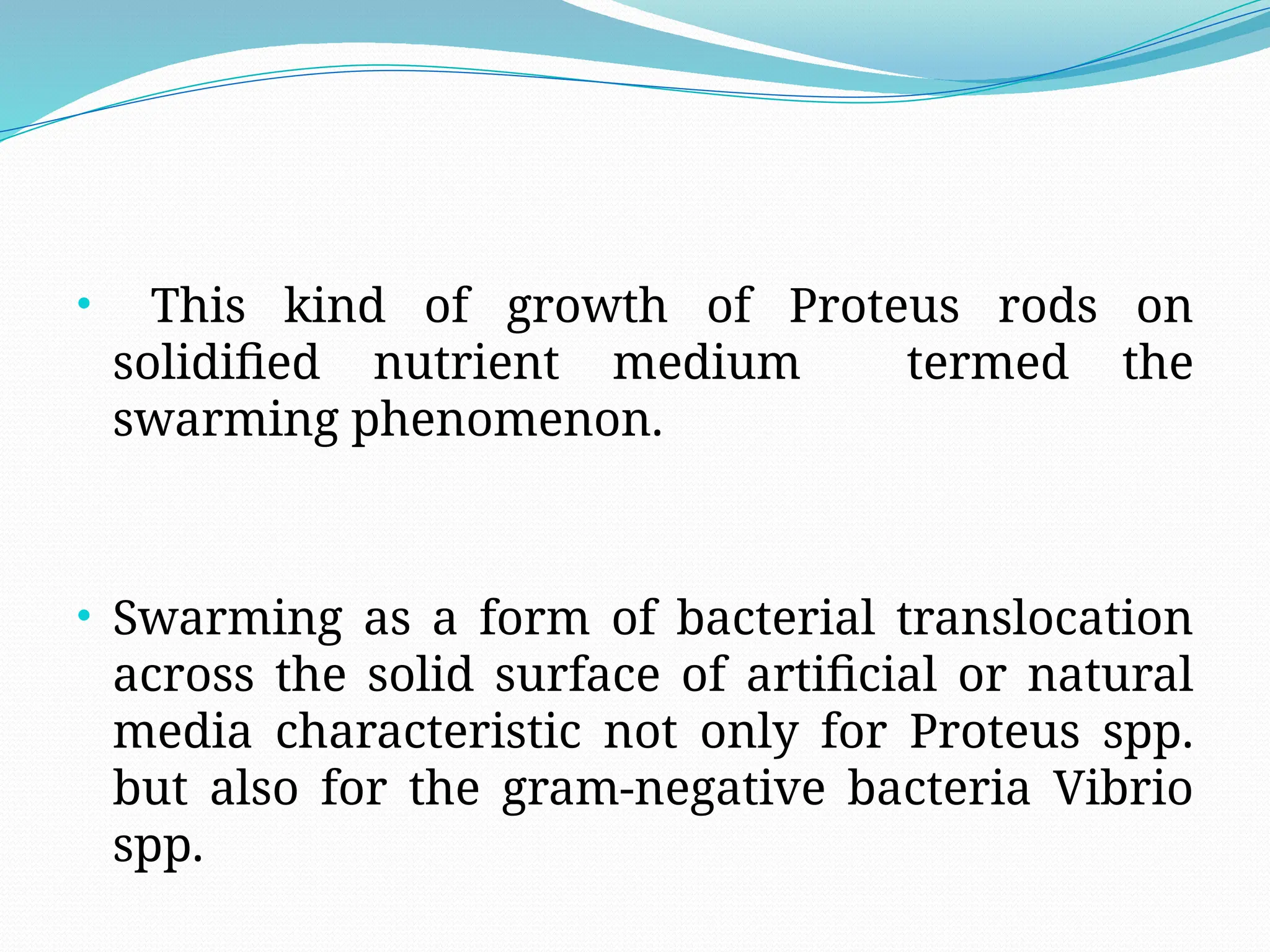 ENTEROBACTER AND PROTEOUS bacterial.pptx