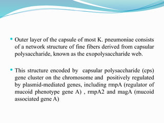 ENTEROBACTER AND PROTEOUS bacterial.pptx