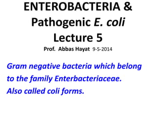 Enterobacteriacae | PPT