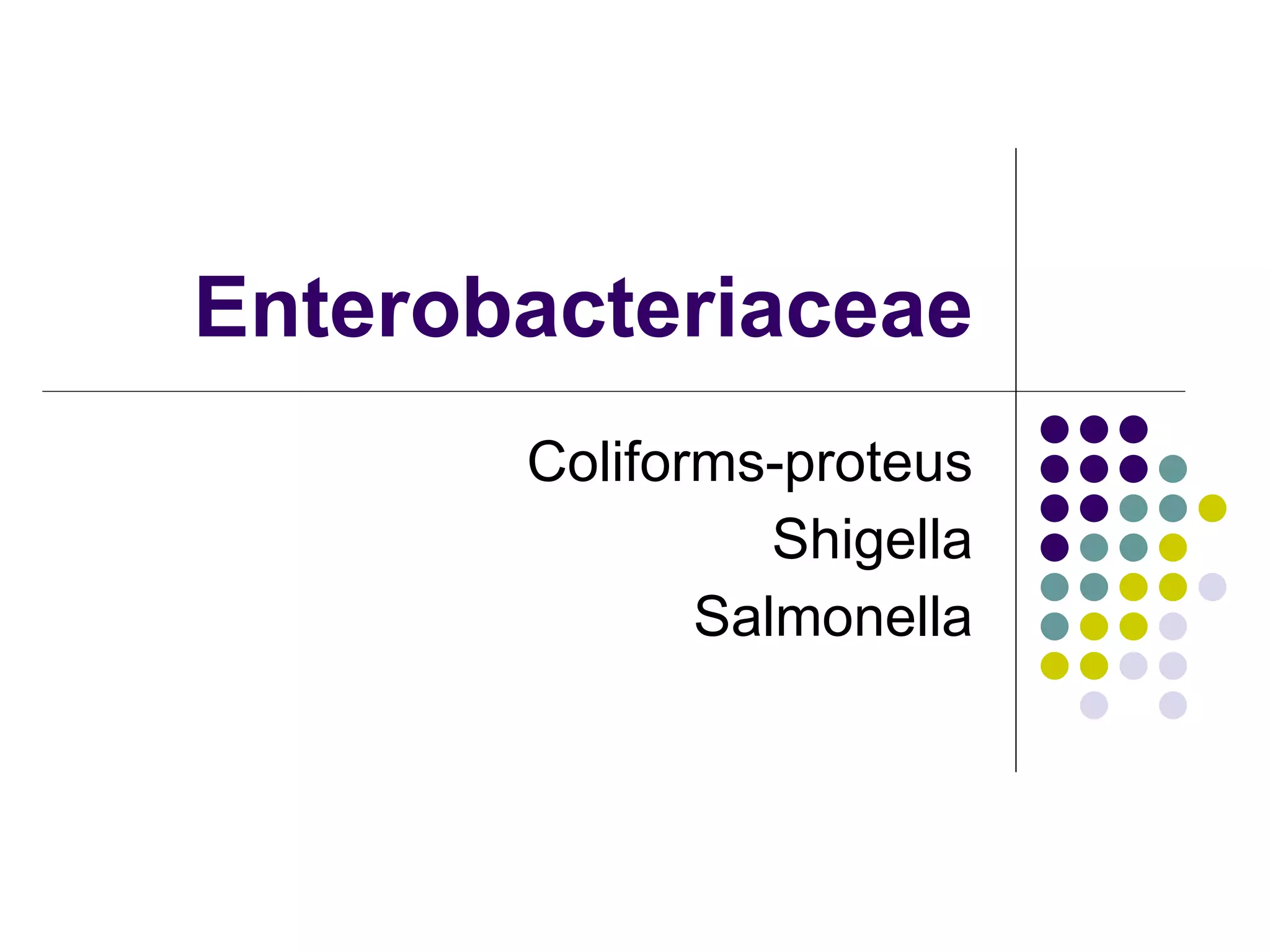 Enterobacteriaceae | PPT