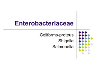 Enterobacteriaceae | PPT