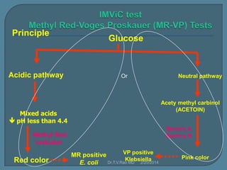 Enterobacteriaceae 120413233647-phpapp02 | PPSX