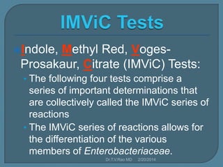 Enterobacteriaceae 120413233647-phpapp02 | PPSX