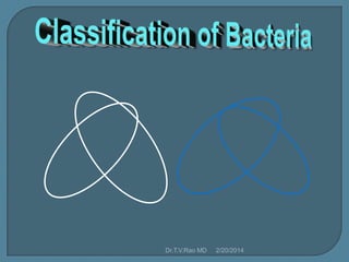 Enterobacteriaceae 120413233647-phpapp02 | PPSX