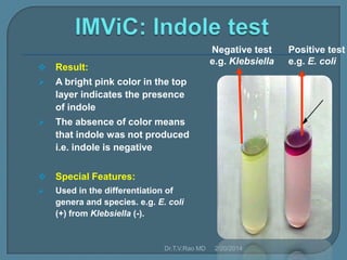 Enterobacteriaceae 120413233647-phpapp02 | PPSX